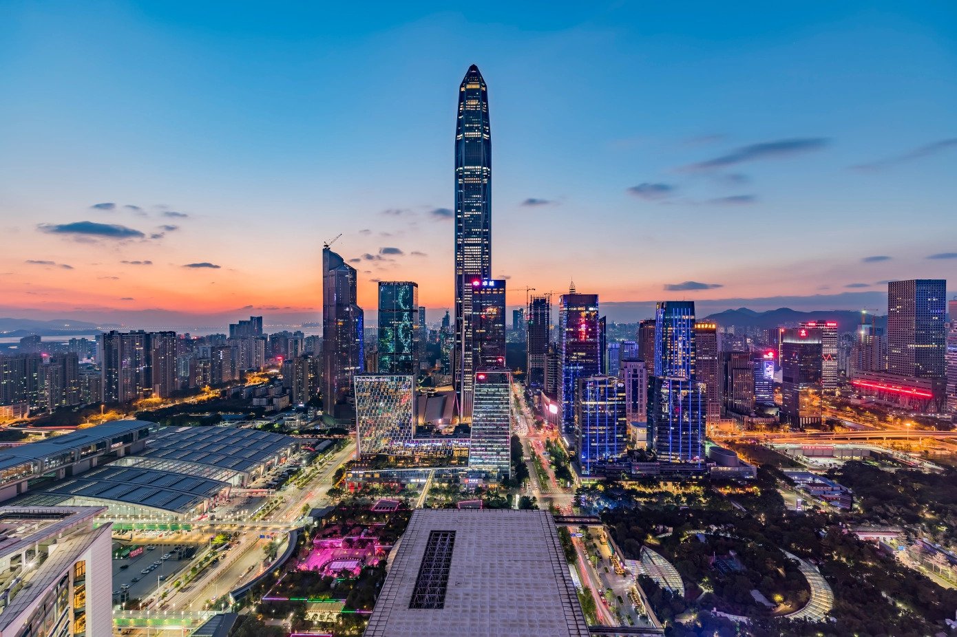 Why China Developed the Digital Yuan
