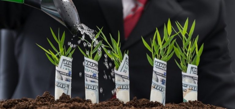 The Big 5: Assets That Will Drive Your Startup To Greater Success